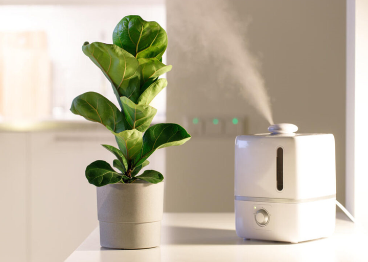 Humidifier: What It Is, How It Works, and Why It Matters – HerStyler